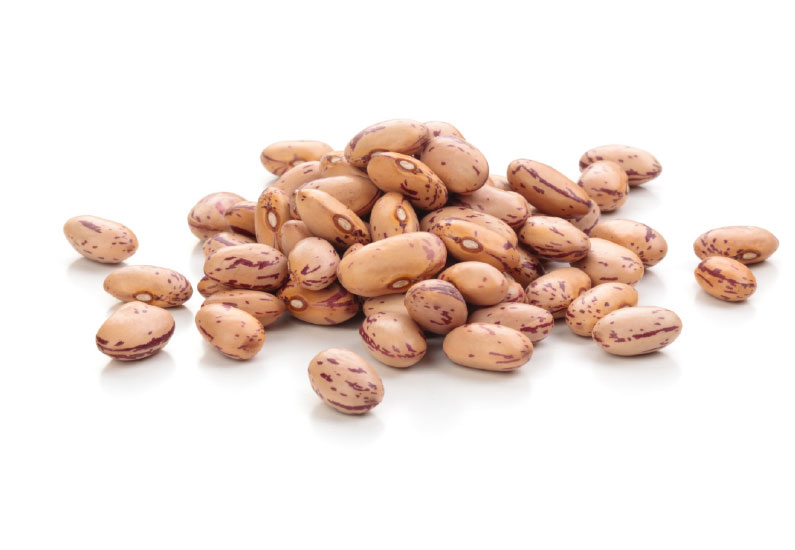 Products - Peas, Beans, Flax | XPT Grain Inc.