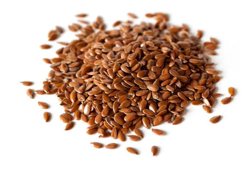 Specialty Crop Exporter | XPT Grain Inc.