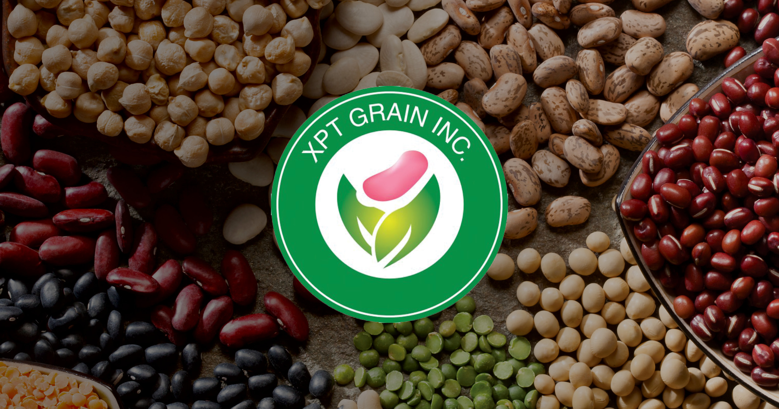 Products - Peas, Beans, Flax | XPT Grain Inc.
